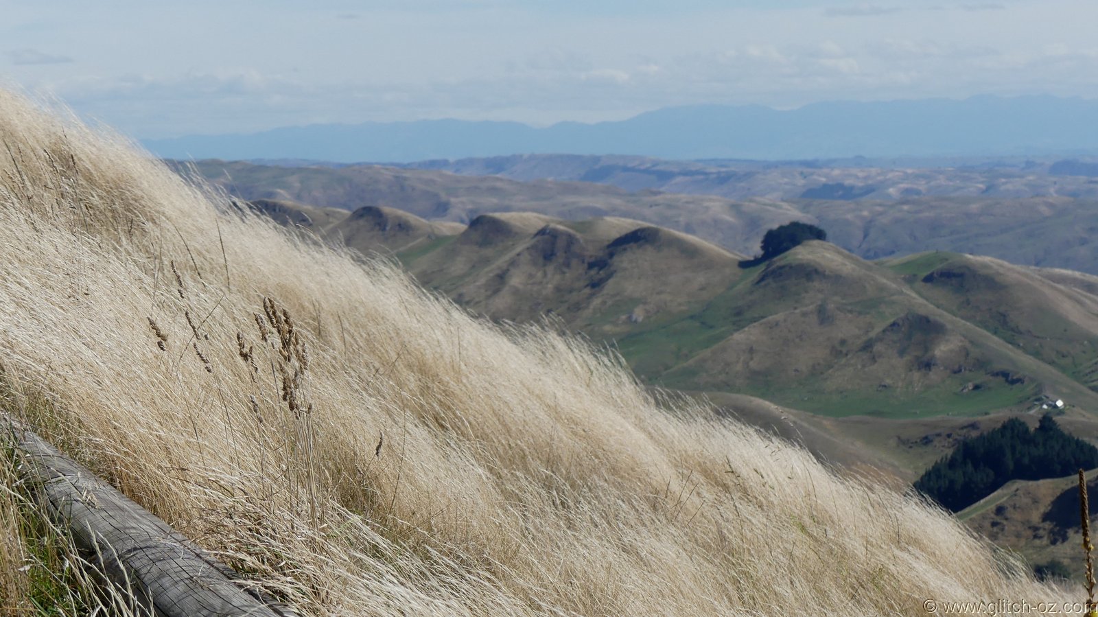 New Zealand pics. Let's see 'em! | Page 100 | Adventure Rider