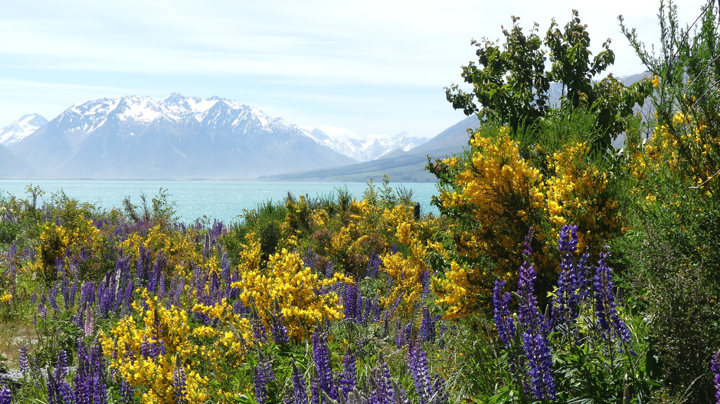 New Zealand pics. Let's see 'em! | Page 217 | Adventure Rider
