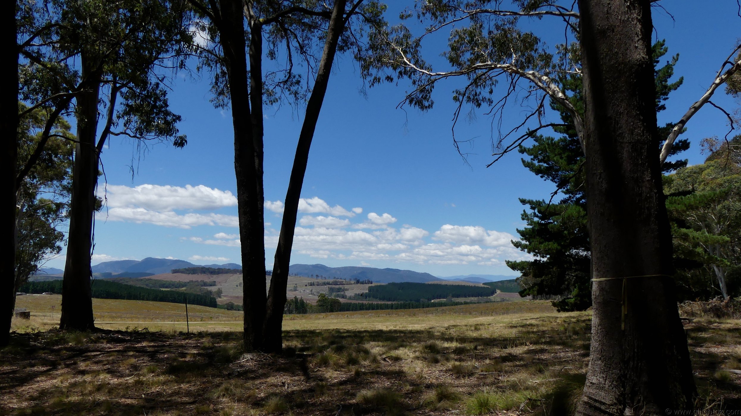 Treadlies_ Victoria's North-Eastern RailTrails | Austouring - For ...