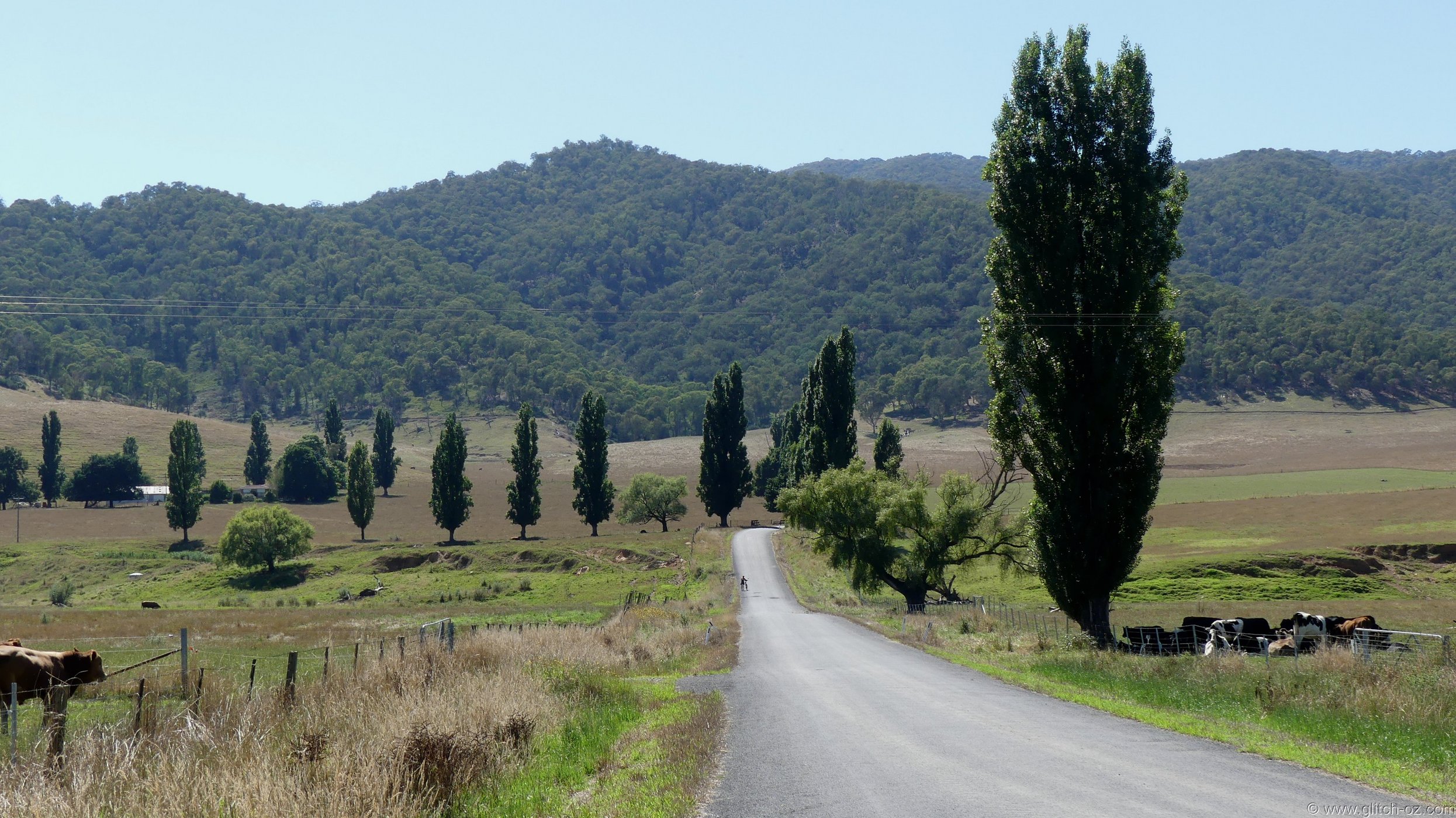 Treadlies_ Victoria's North-Eastern RailTrails | Austouring - For ...